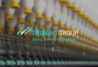 Trident Group Stock Falls Amid Income Tax Raids