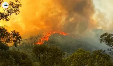 Victoria on Highest Fire Alert as Heatwave Fuels Catastrophic Bushfires