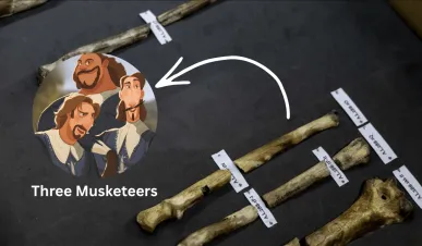 Skeleton Found Under Church May Be Legendary Musketeer d’Artagnan After ...